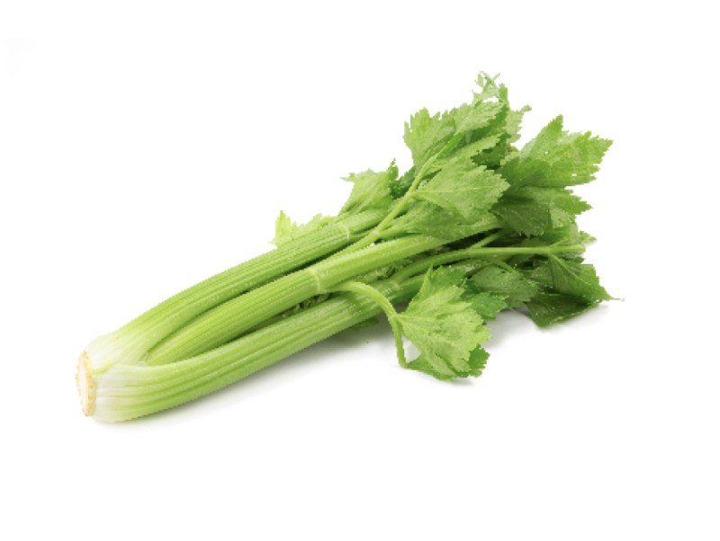 Productos - Agrícola Villena