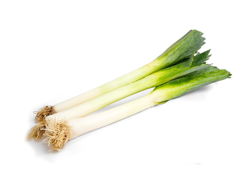 Productos - Agrícola Villena